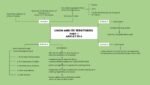 Polity Mind Maps - Shravi IAS